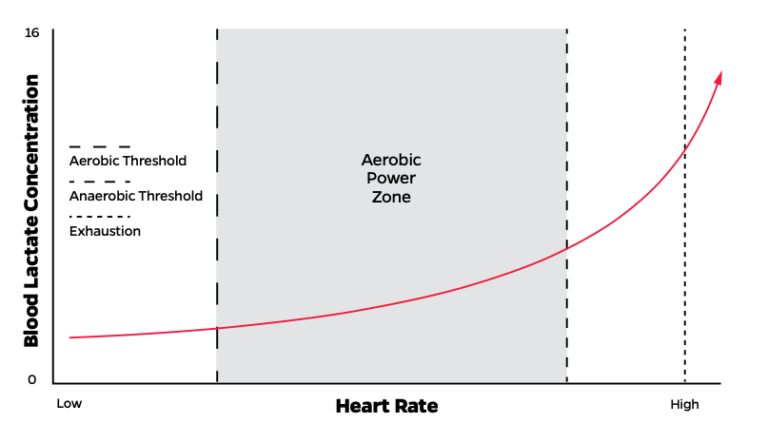 What Is The Aerobic Threshold: The Ultimate Guide